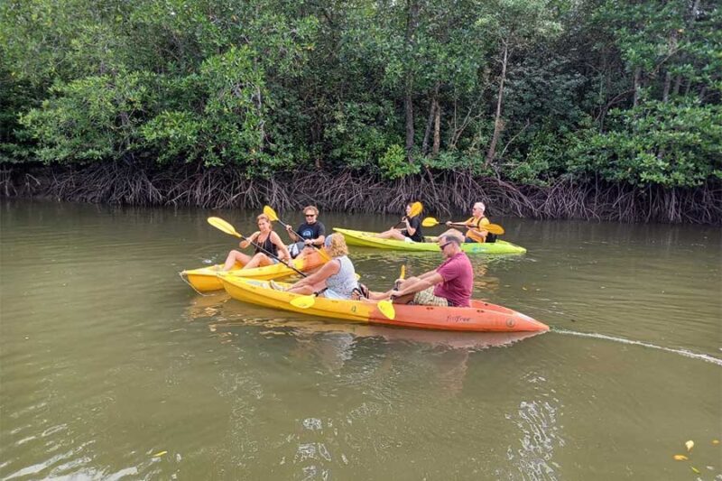 Mangrove Kayaking Tour Lanta - Go2Lanta - Best Tours on Lanta